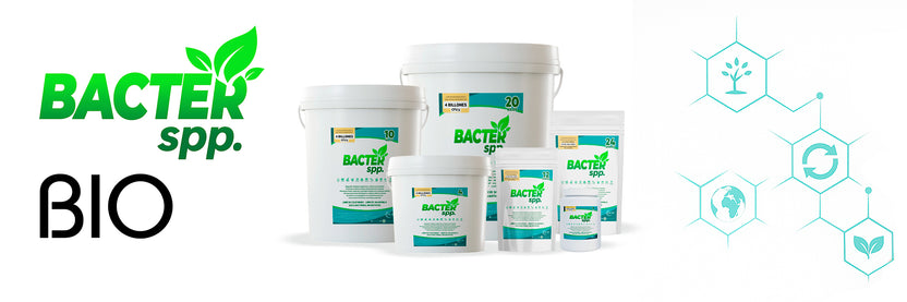 BIO BACTER spp. Bacterias Enzimáticas para grasas y residuos orgánicos